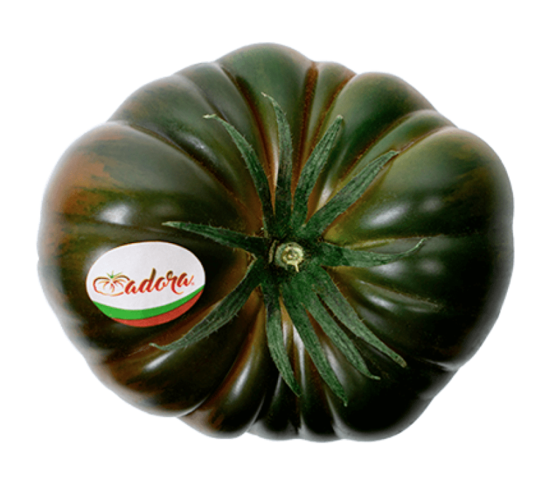 Home - Tomate adora