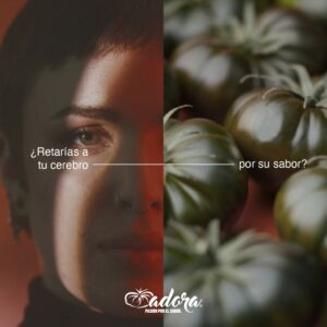 Adora Tomato: Freshness, flavor and excellence from the origin.